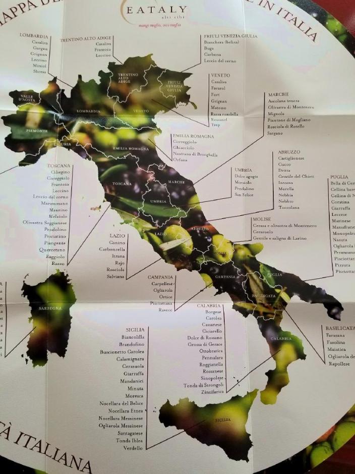 Fascinating Olive Oil Pt. 2 « Expressly Italian
