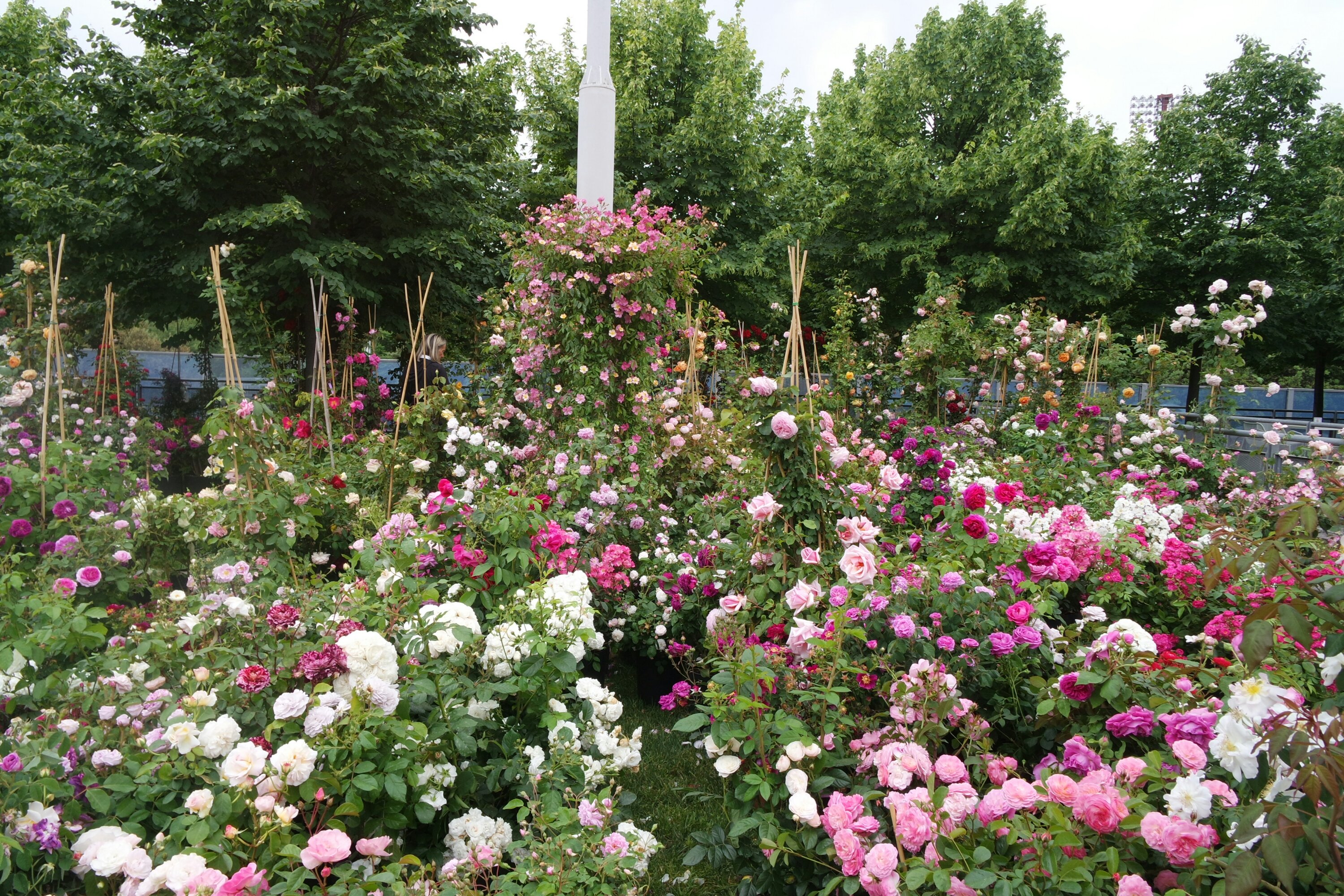 Heading to Italy for Pasqua, Pasquetta and (hooray) Shopping ...